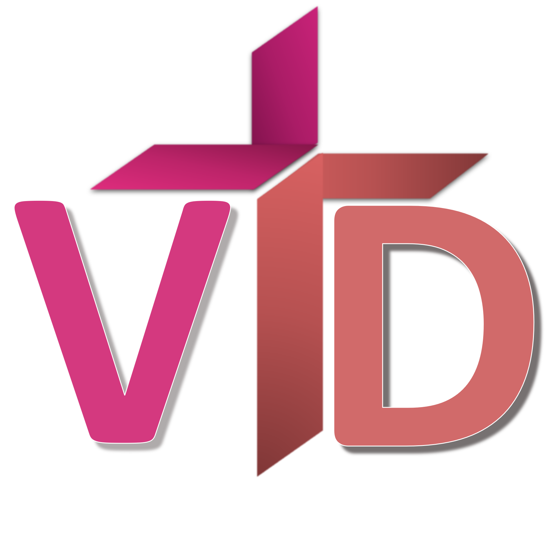 logo ViD – VJERA I DJELA