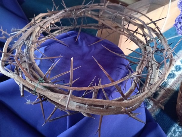 O Isusovoj trnovoj kruni – Kristovoj drači – VJERA I DJELA